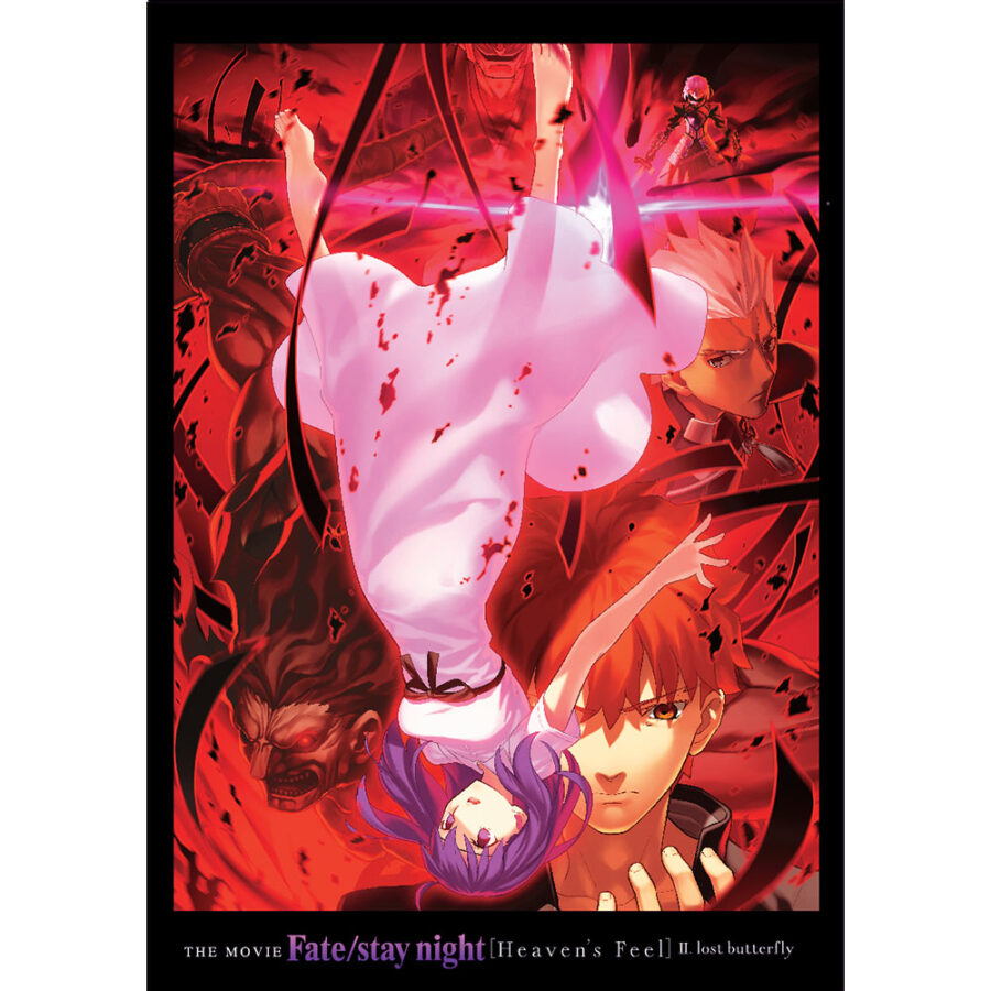 Fate/stay night Heaven's Feel - Dexclub